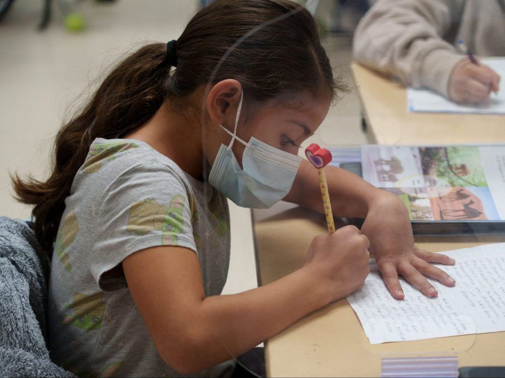 A look at Ontario's new elementary school science curriculum | London ...