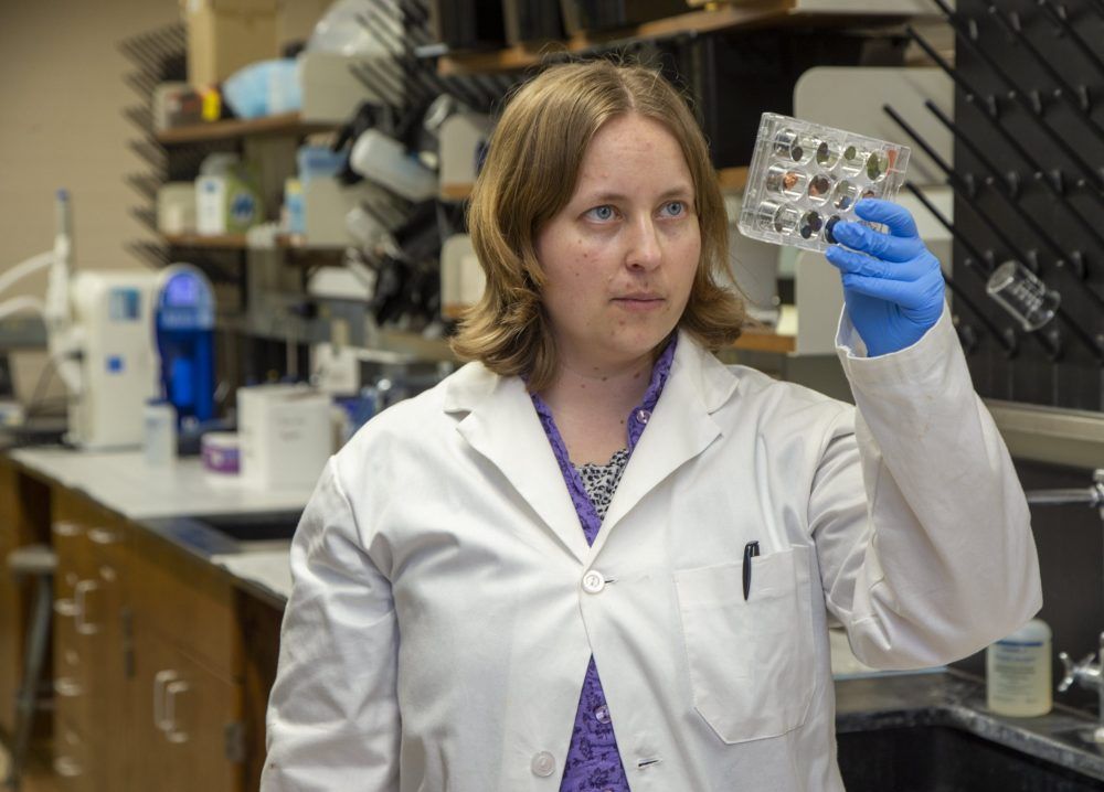Western University researchers won record $268M in funding last year ...