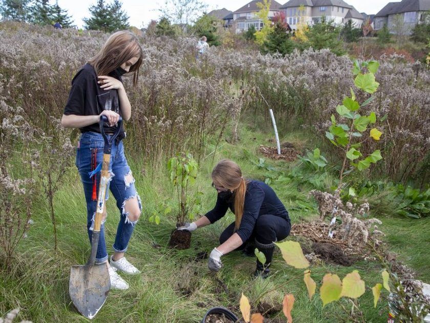 ReForest London planting push digs in with 1,000 new trees and shrubs ...