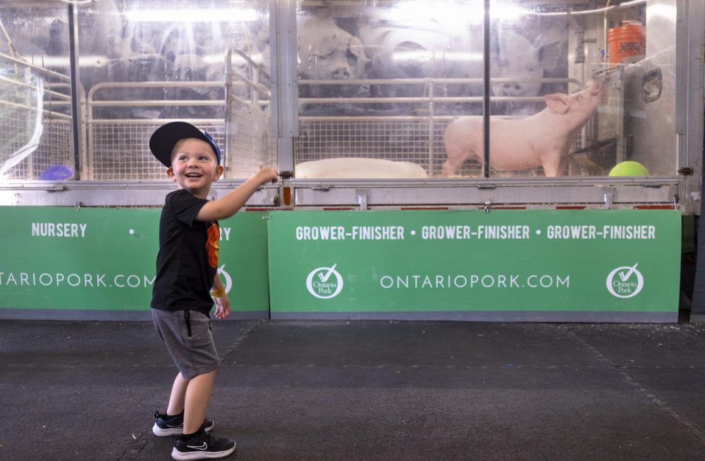 Small-town fairs roar back to life as crowds flock to local touchstones ...