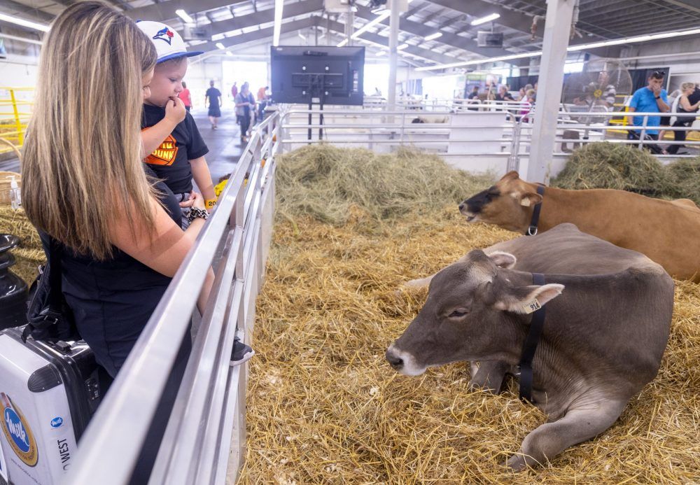 Small-town fairs roar back to life as crowds flock to local touchstones ...