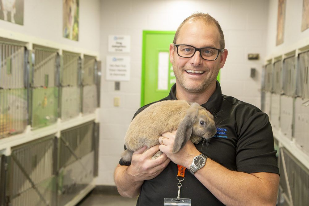 Humane Society squeezed as cash-strapped families surrender pets ...