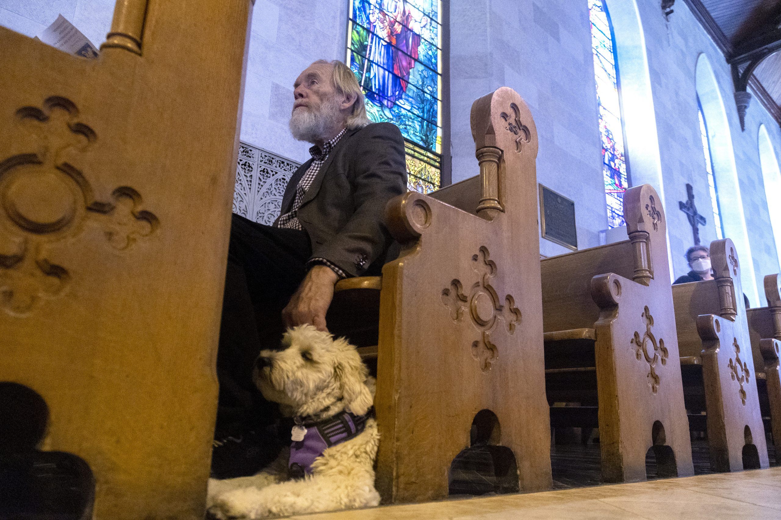 PHOTOS: Pets get blessed at London's St. Paul's Cathedral | London Free ...