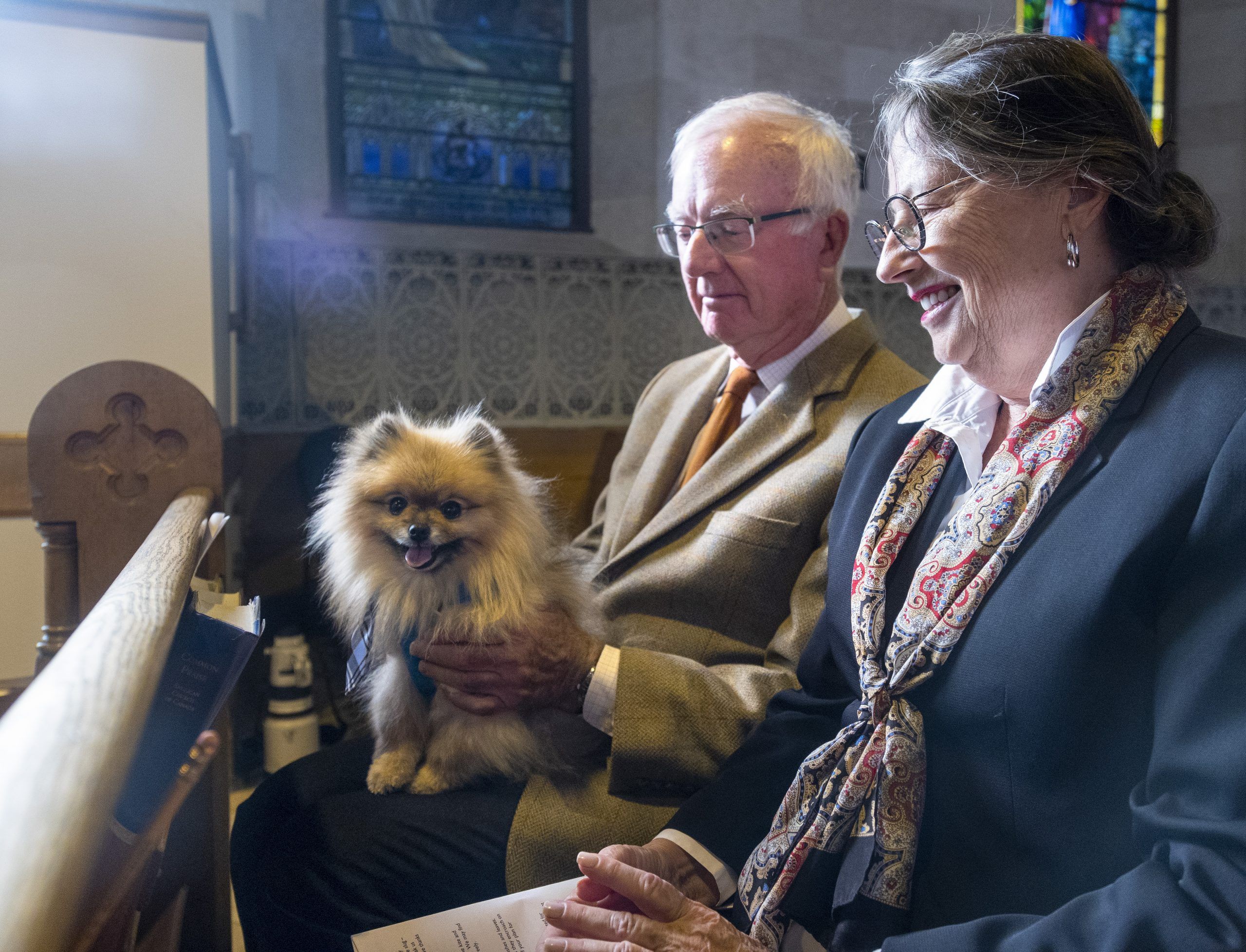 PHOTOS: Pets get blessed at London's St. Paul's Cathedral | London Free ...