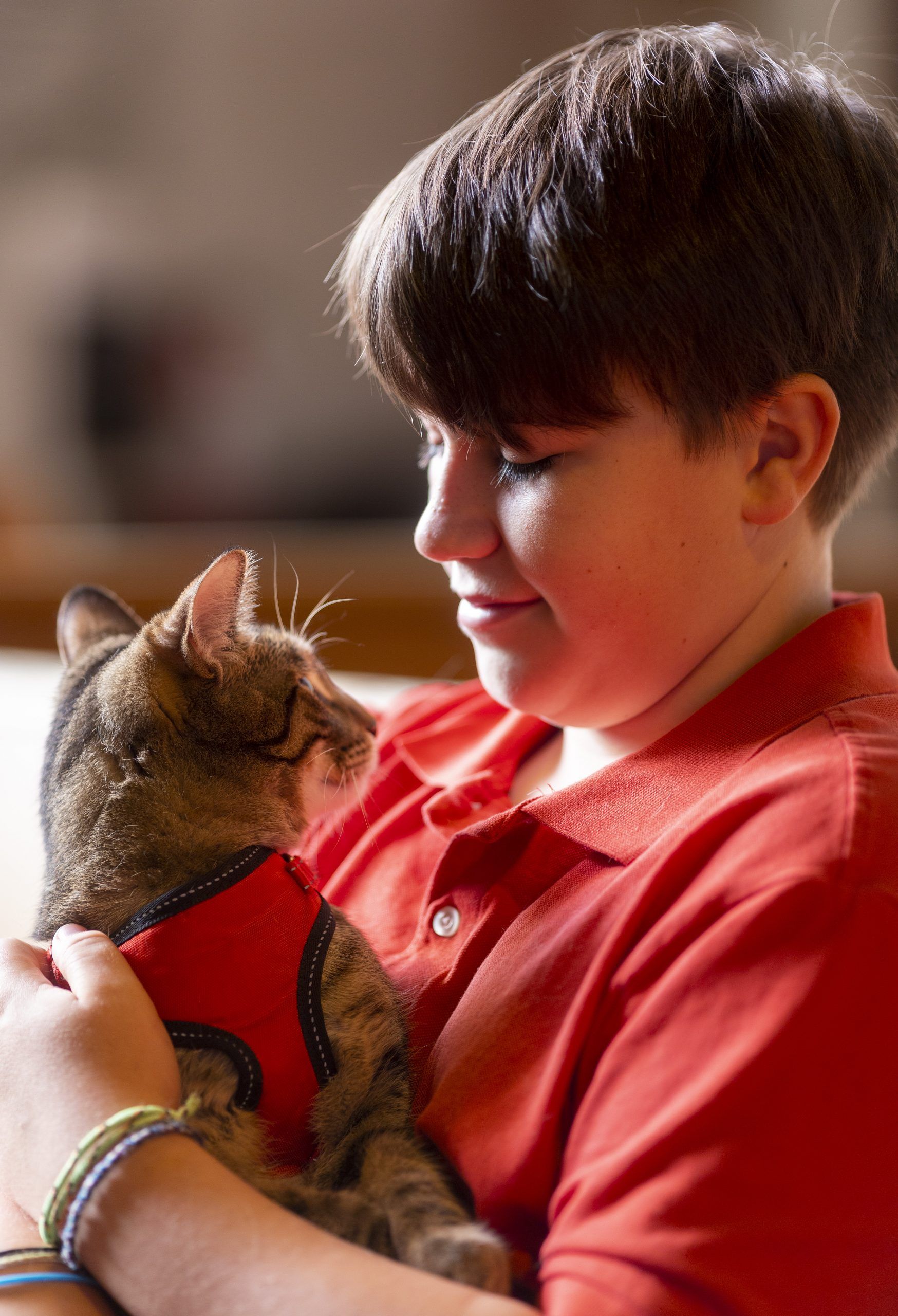PHOTOS: Pets get blessed at London's St. Paul's Cathedral | London Free ...