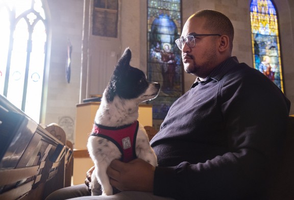 PHOTOS: Pets get blessed at London's St. Paul's Cathedral | London Free ...