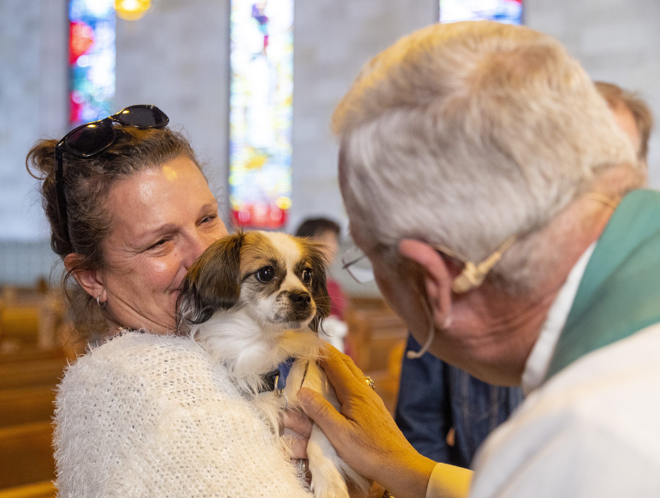 PHOTOS: Pets get blessed at London's St. Paul's Cathedral | London Free ...