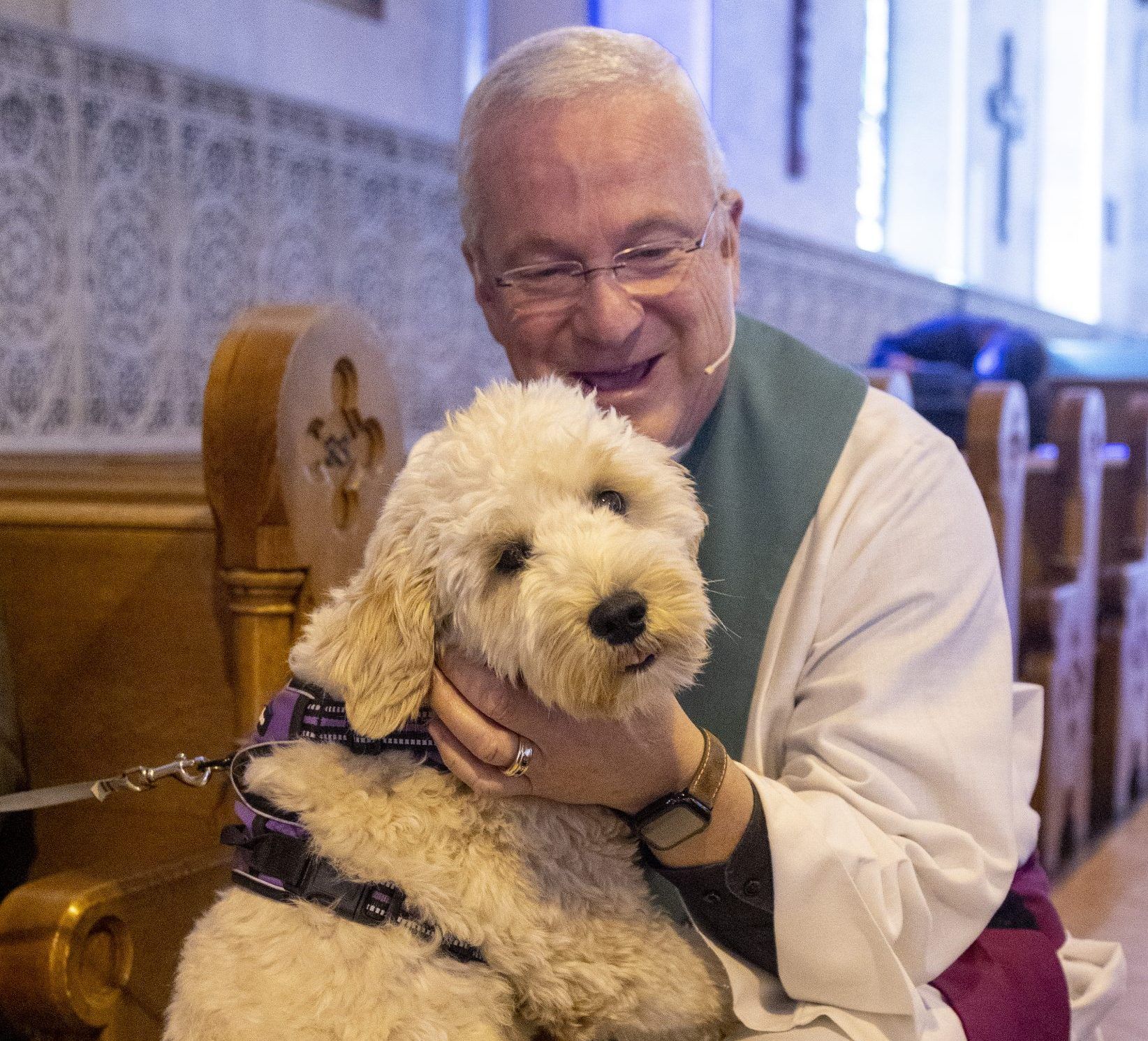 PHOTOS: Pets get blessed at London's St. Paul's Cathedral | London Free ...