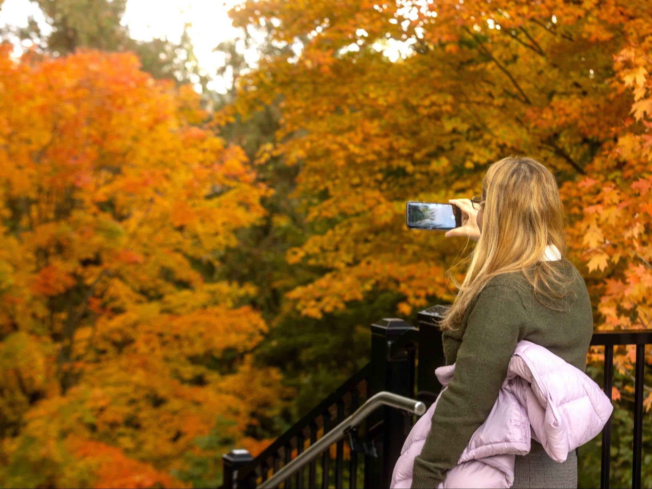 Ontario's cool temperatures leading to vibrant fall colours: Experts ...