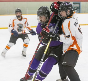 PHOTOS: Clarke Road vs. West Elgin in boys high school hockey | London ...