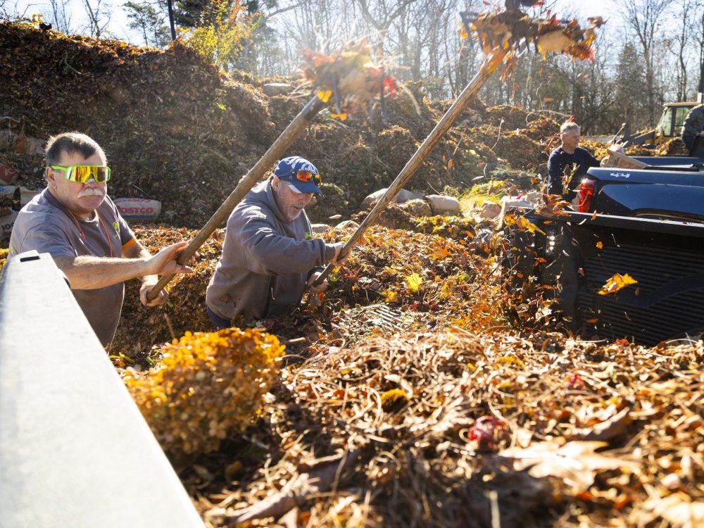 Loving the sun, warmth? Enjoy it while you can, London | London Free Press