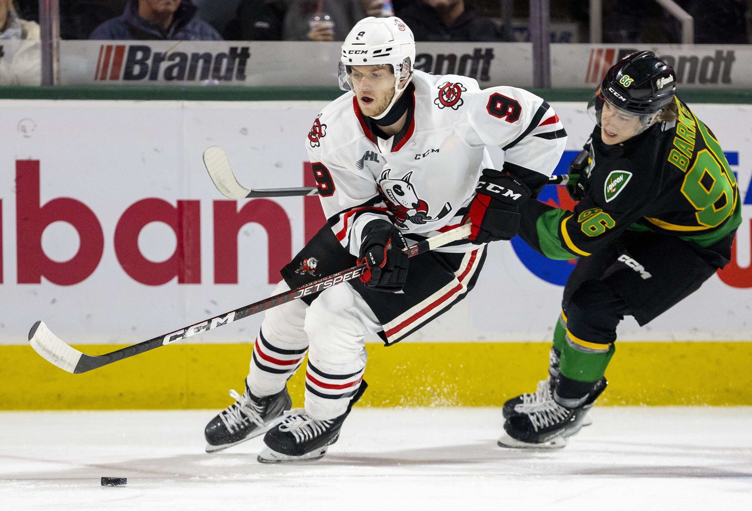 Hometown boy's heroics lift London Knights to seventh straight win ...