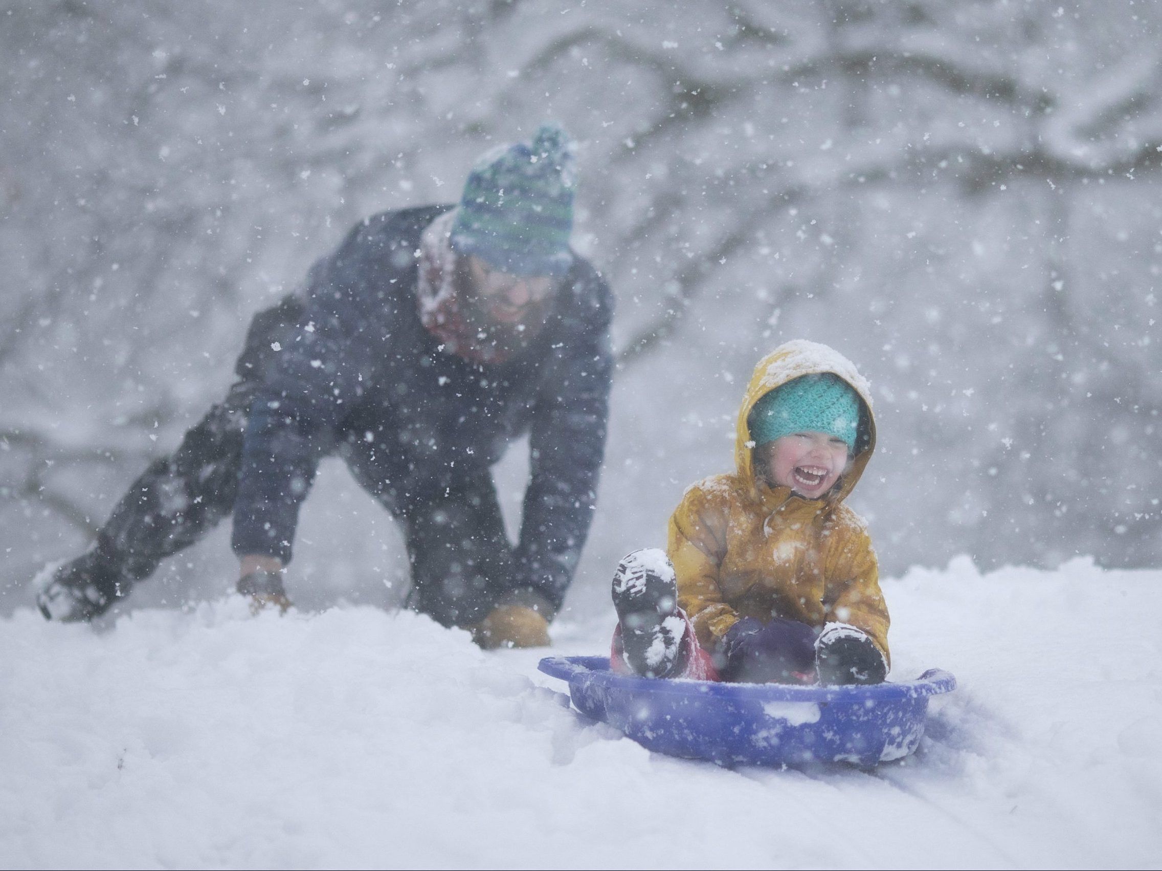 PHOTOS: Snow (and lots of it) falling on Southwestern Ontario | London ...