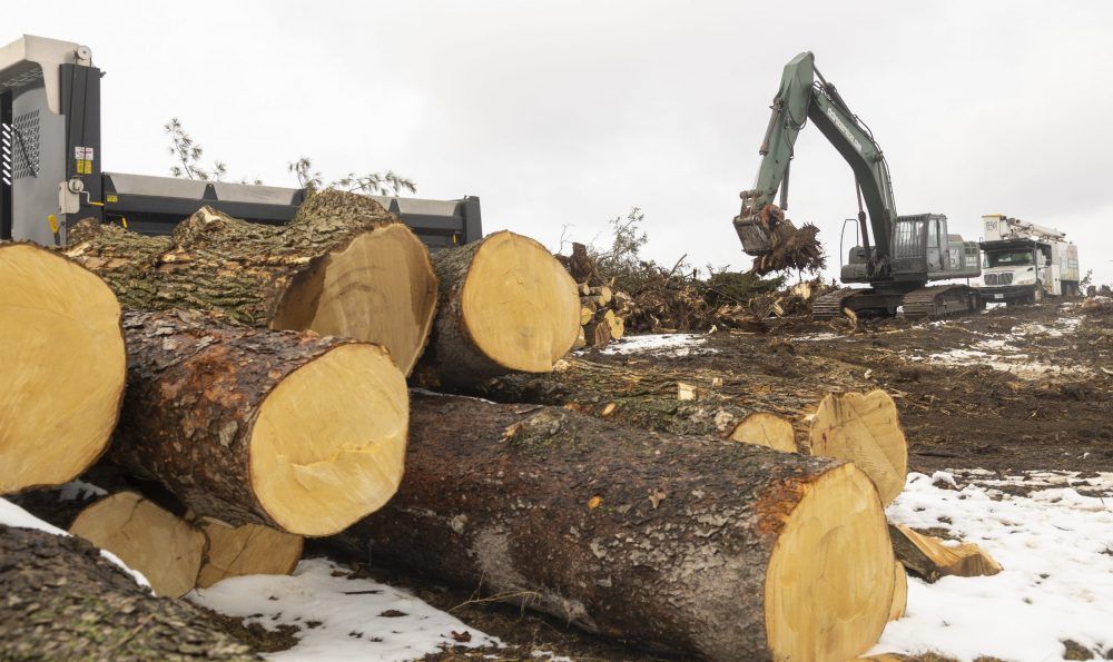 'Huge': St. Thomas lands VW electric battery plant, more than 2,000 ...