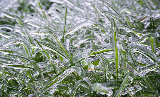 It's springtime. So prepare for snow, freezing rain, wild winds ...