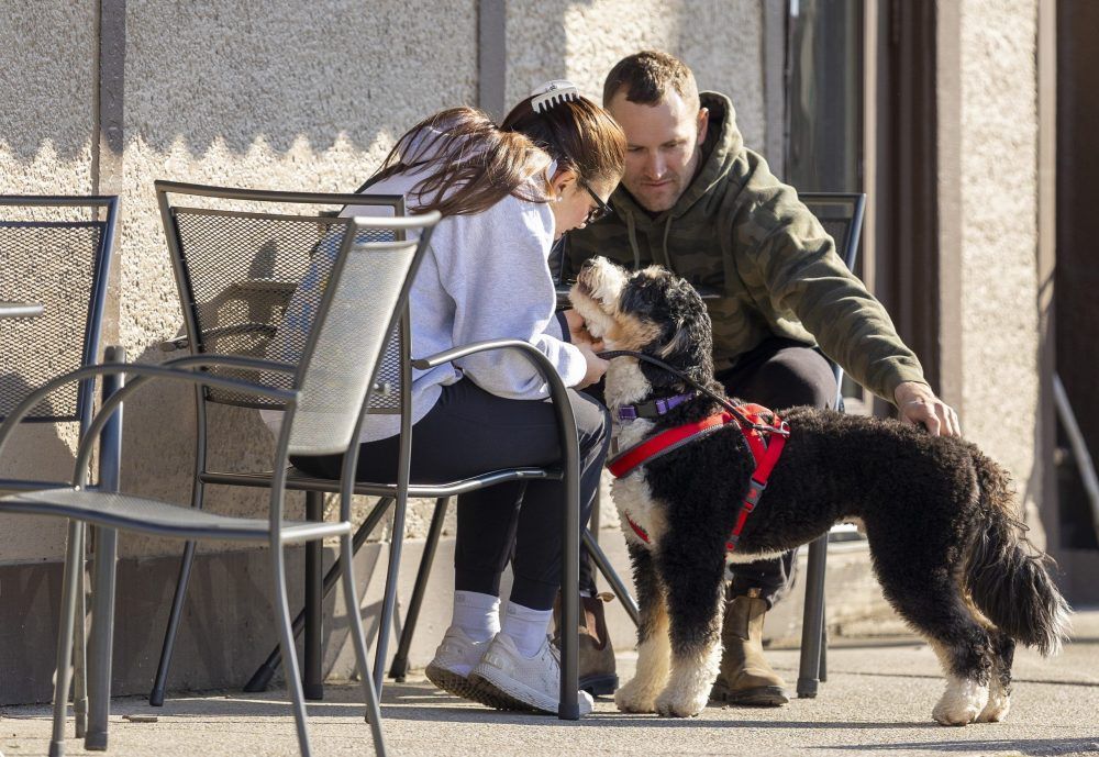 PHOTOS: Let the sunshine in | London Free Press