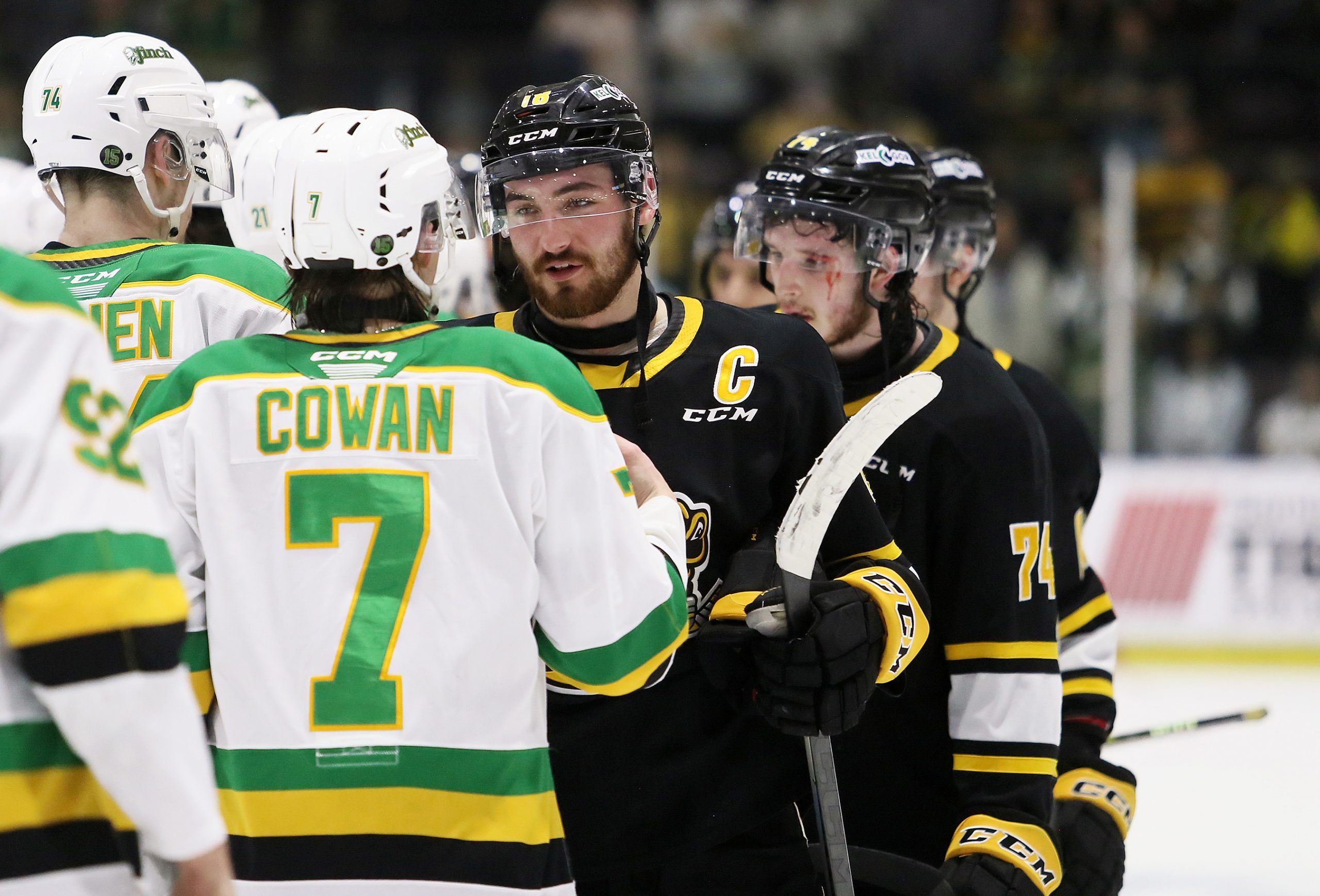 A (cross)walk to remember: Sarnia makes good on OHL series bet | London ...