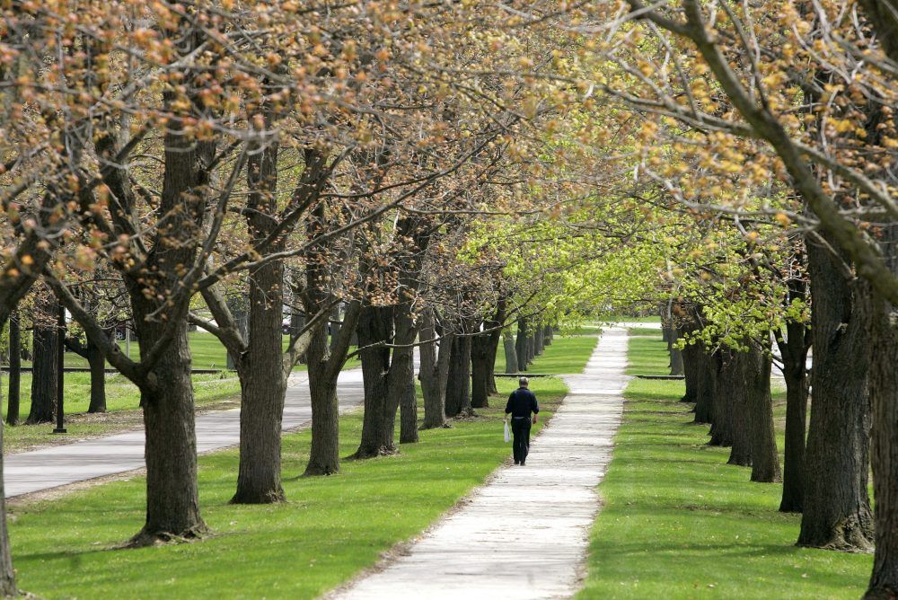 A revealing look at the history of London's 'asylum for the insane ...