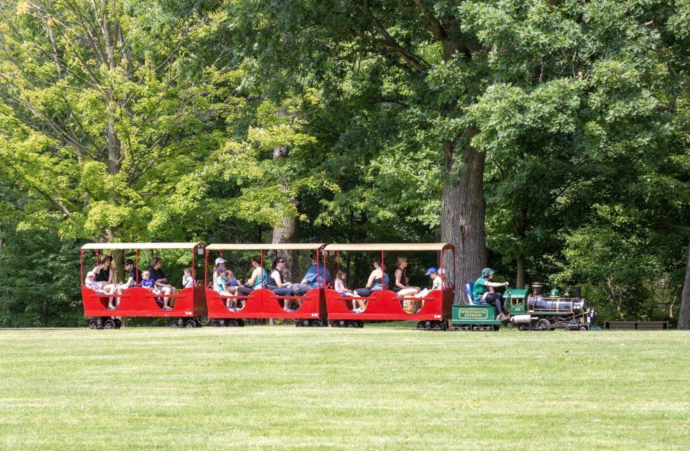 Cornies: Put the 'bank' back in Springbank with river views | London ...