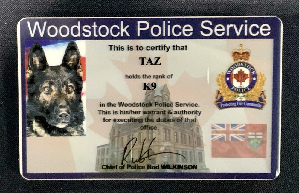 PHOTOS: Memorial for Taz | London Free Press