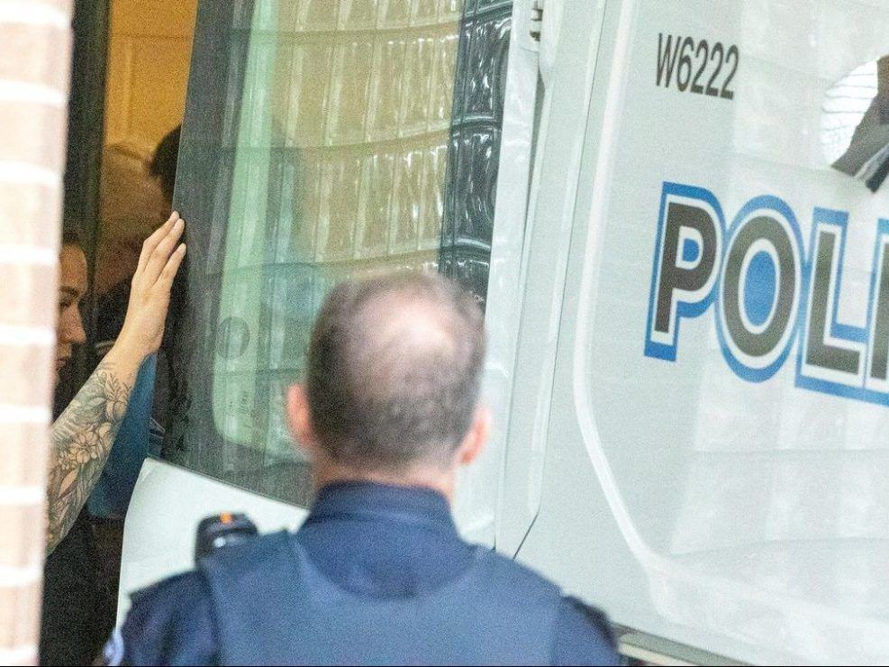 'I did it on purpose': What the Nathaniel Veltman jury didn't hear ...