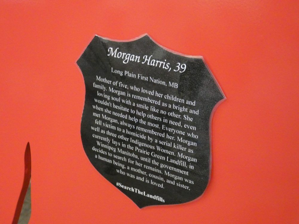 Missing, murdered Indigenous women focus of Shine the Light campaign ...