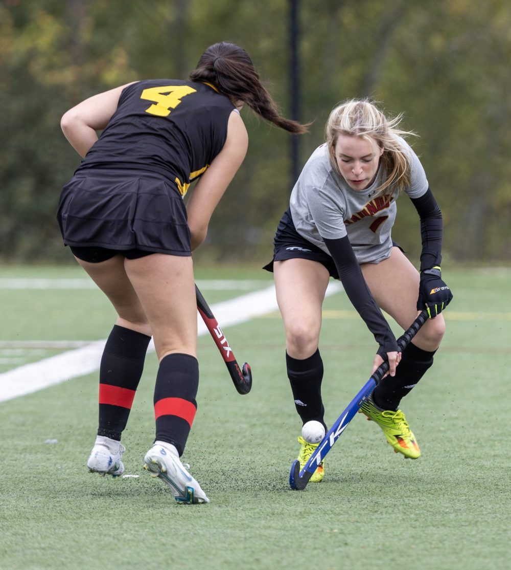 PHOTOS: High school girls field hockey, Saunders vs. Central Elgin ...