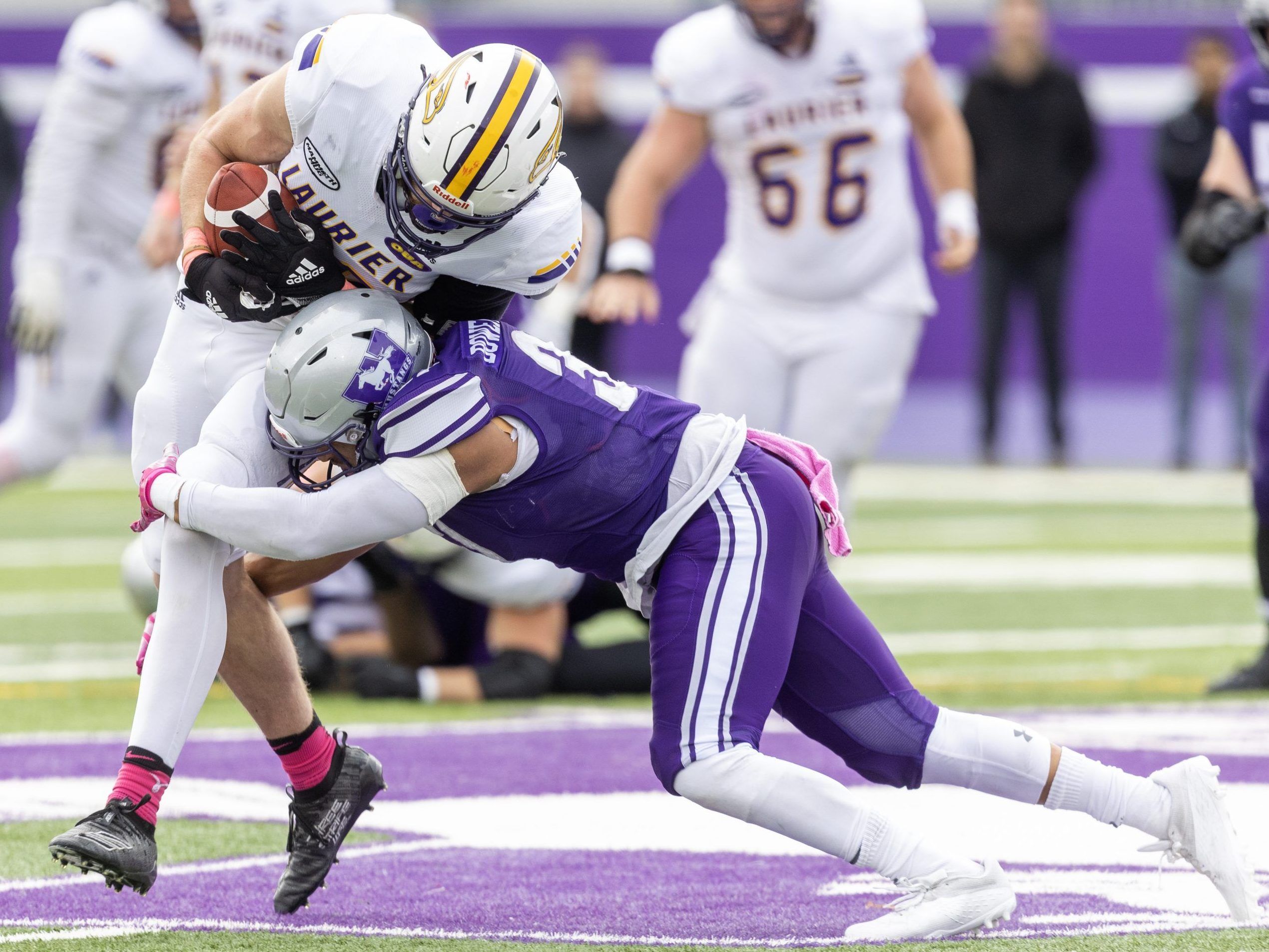 Western Mustangs battered but still unbeaten after epic win over ...
