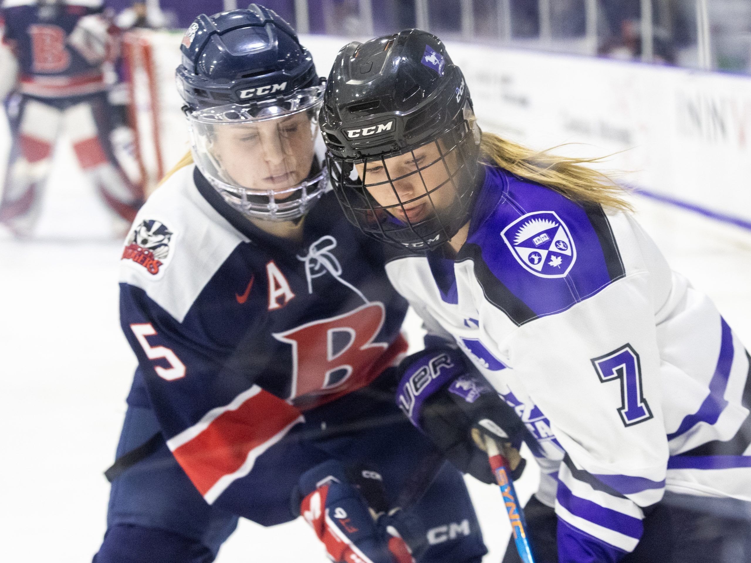 PHOTOS: Western Mustangs vs. Brock Badgers, OUA women's hockey | London ...