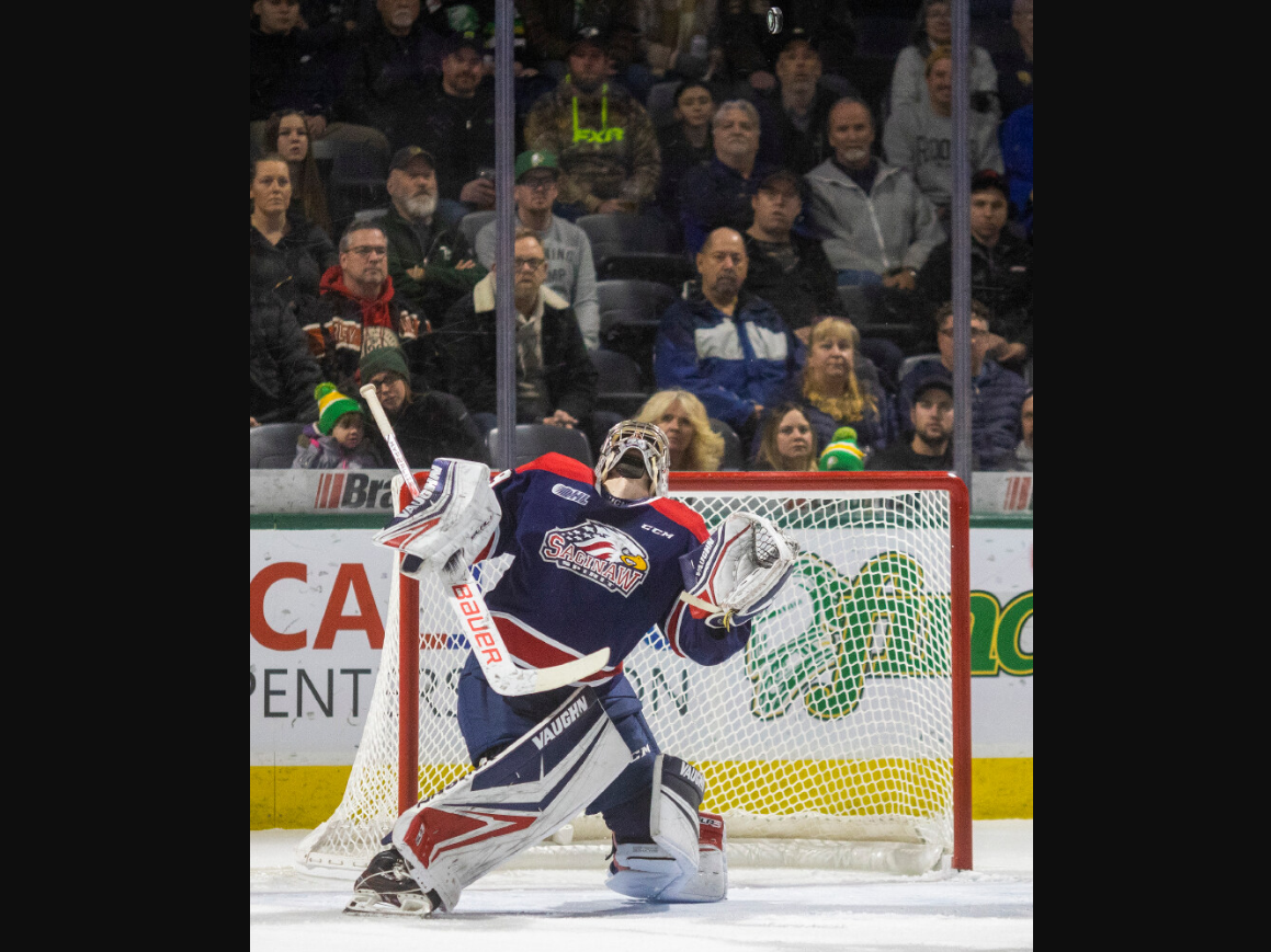 PHOTOS: London Knights 7, Saginaw Spirit 3 | London Free Press