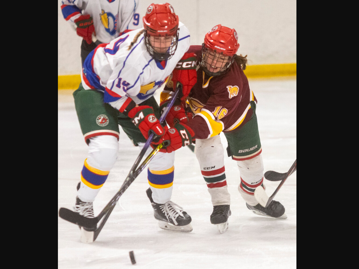 PHOTOS: Banting vs. Oakridge, TVRA girls high school hockey | London ...