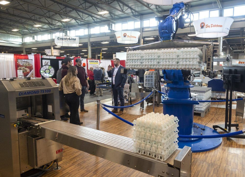 PHOTOS: National Poultry Show at Western Fair Agriplex | London Free Press