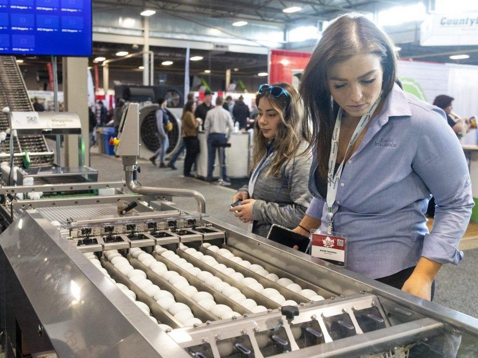 PHOTOS: National Poultry Show at Western Fair Agriplex | London Free Press