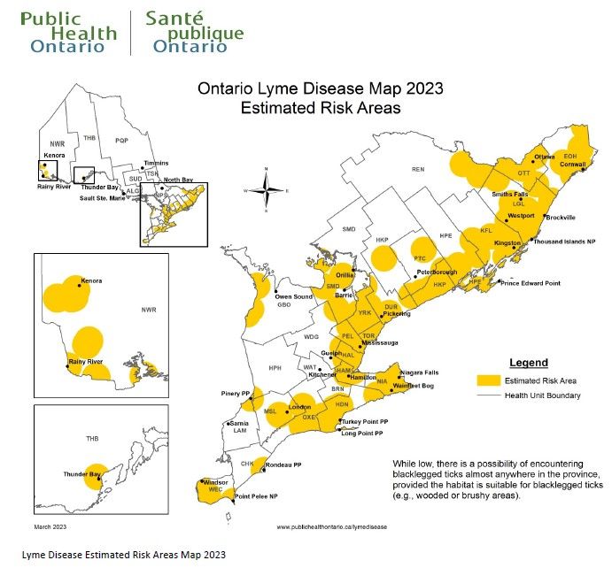 Ticks, and plenty of them, after mild winter: Experts | London Free Press