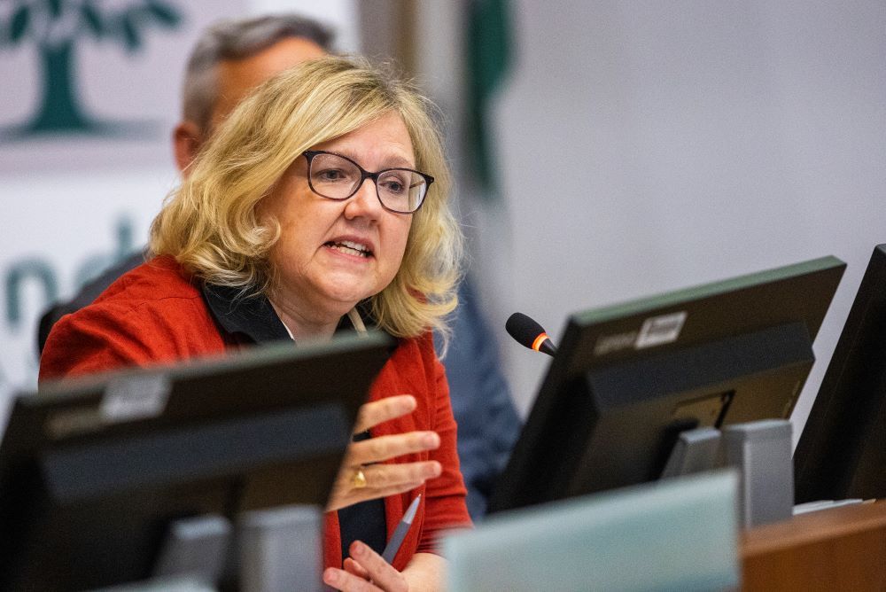Chair of city diversity committee resigns, calls out city councillor ...