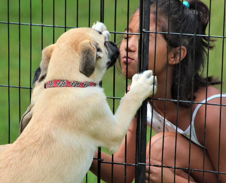 PHOTOS: Pawlooza at the Plunkett Estate | London Free Press