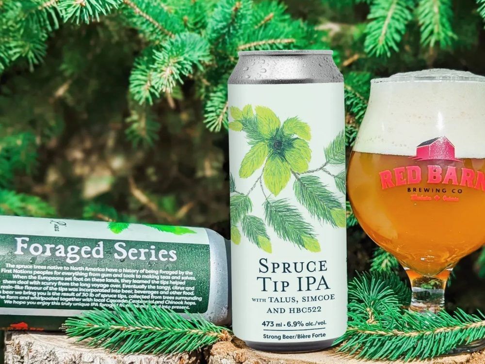 BEER: Spruce tips add fresh seasonal taste | Owen Sound Sun Times