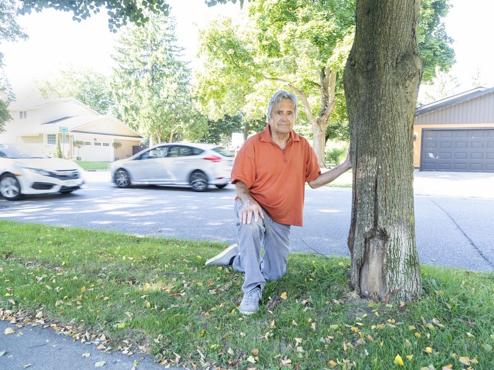 London traffic-calming 101: The ins and outs of speed bumps | London ...