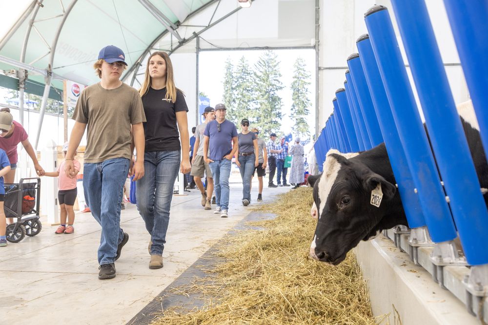 PHOTOS: Canada’s Outdoor Farm Show 2024 | London Free Press