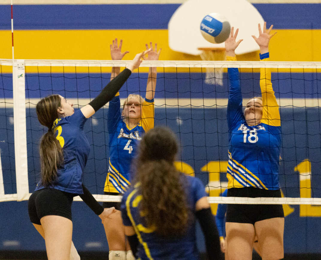 PHOTOS: Gabriel-Dumont vs. Beal, TVRA senior girls volleyball | London Free Press
