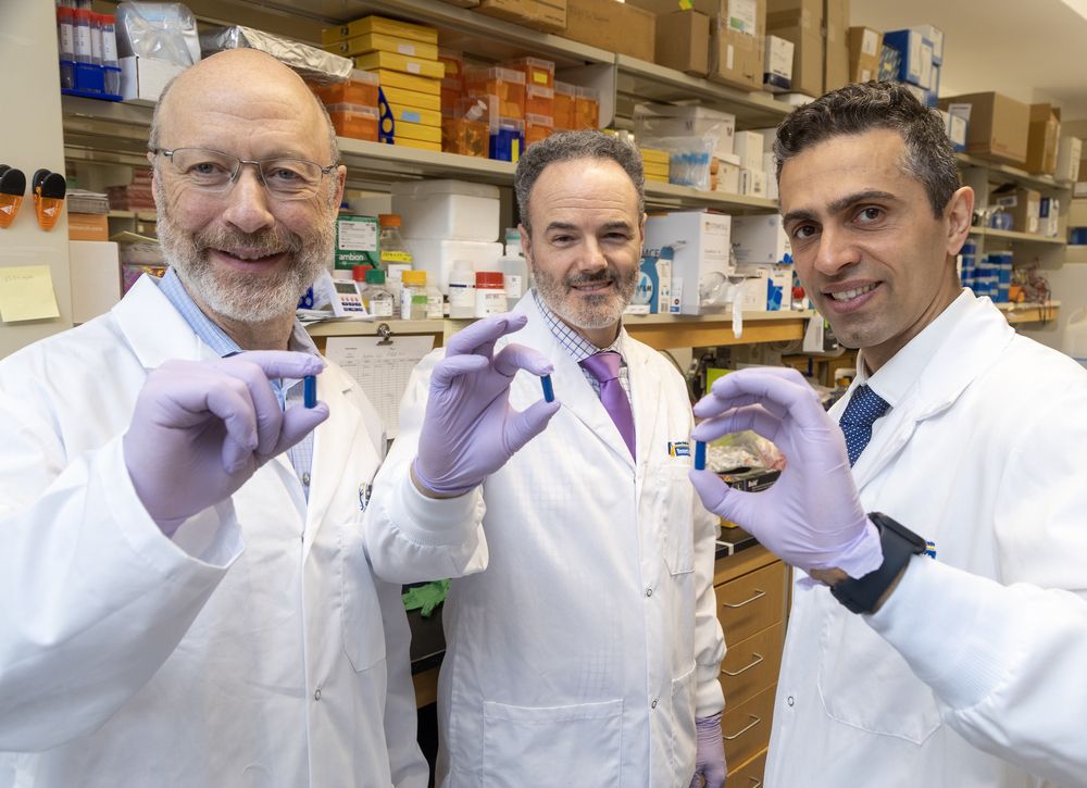 'Poop' pills to be tested for treatment of pancreatic cancer | London ...