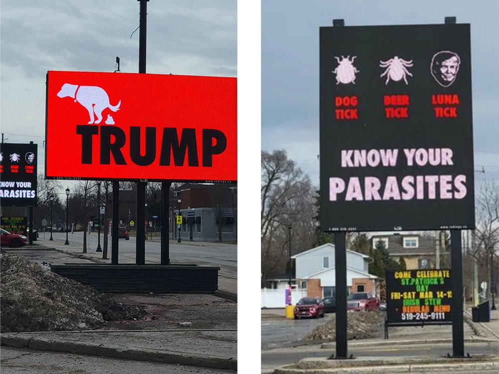 Strathroy signs send clear message to Donald Trump | London Free Press