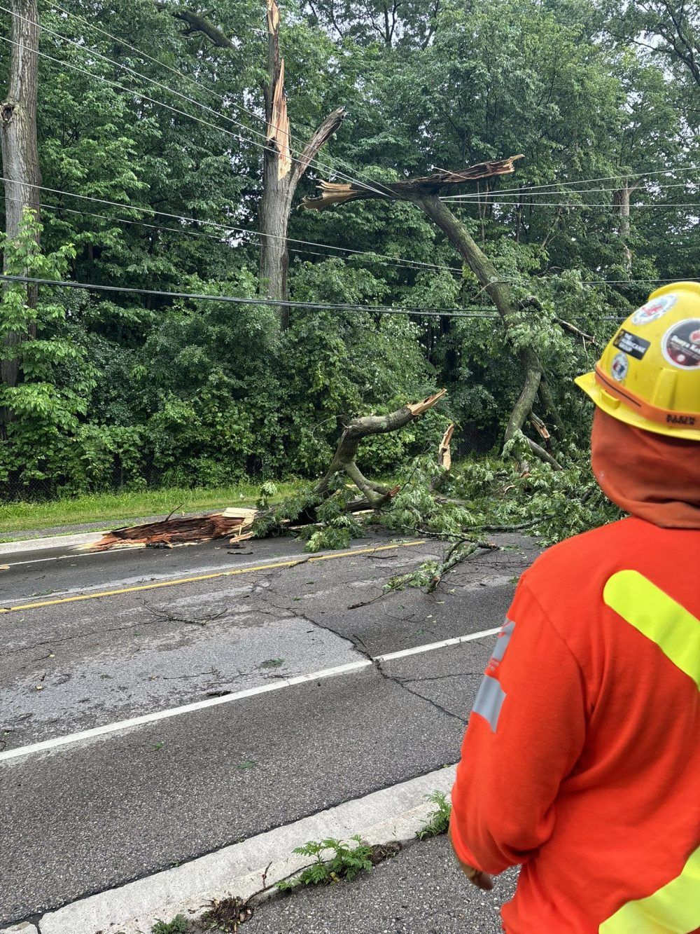 London Hydro details exactly what cut power to 10,000-plus Londoners ...