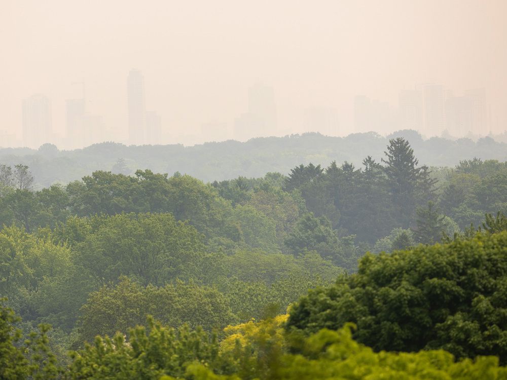 London heat wave: All you need to know about the early summer sizzler ...