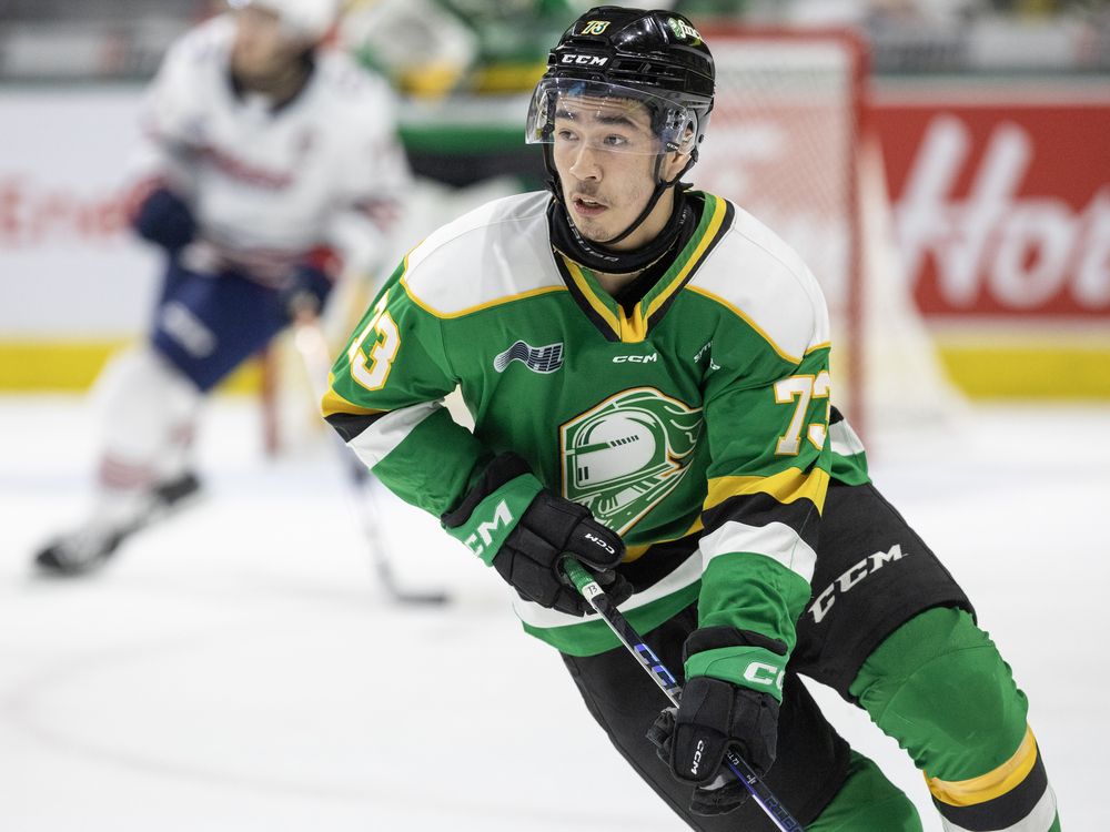 London Knights to welcome back veteran forwards to lineup | London Free ...