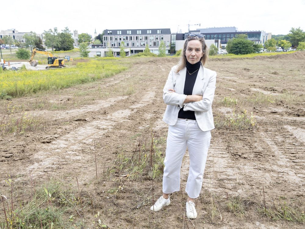 Ivey staff urge Western to pause parking expansion | London Free Press