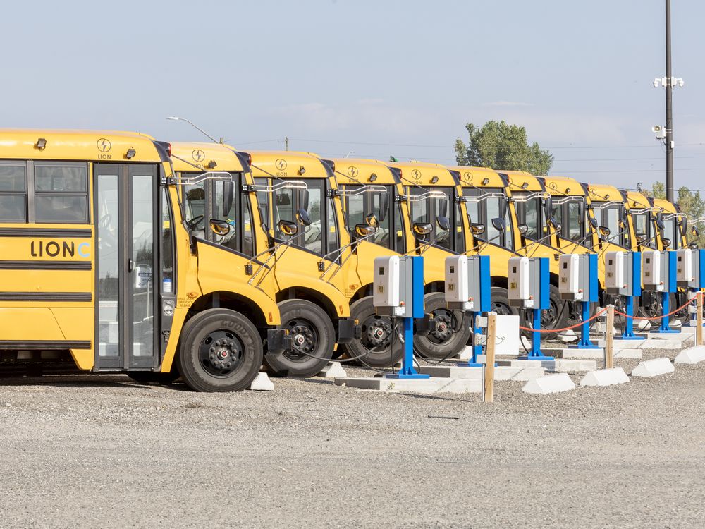 5 things to know about Adonis, London's newest ethnic supermarket ...