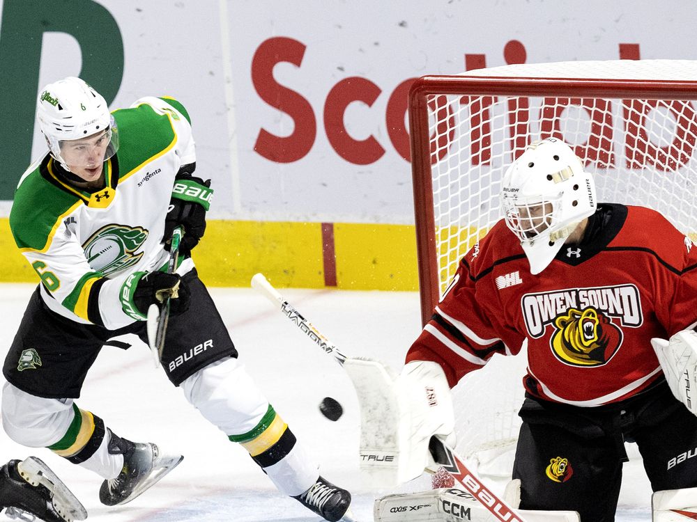 London Knights fall 3-2 in overtime to Owen Sound Attack | London Free ...