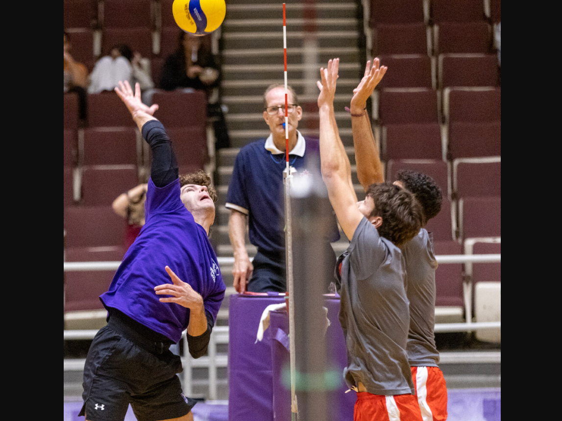 PHOTOS: Fanshawe Falcons vs. Western Mustangs, men's volleyball ...