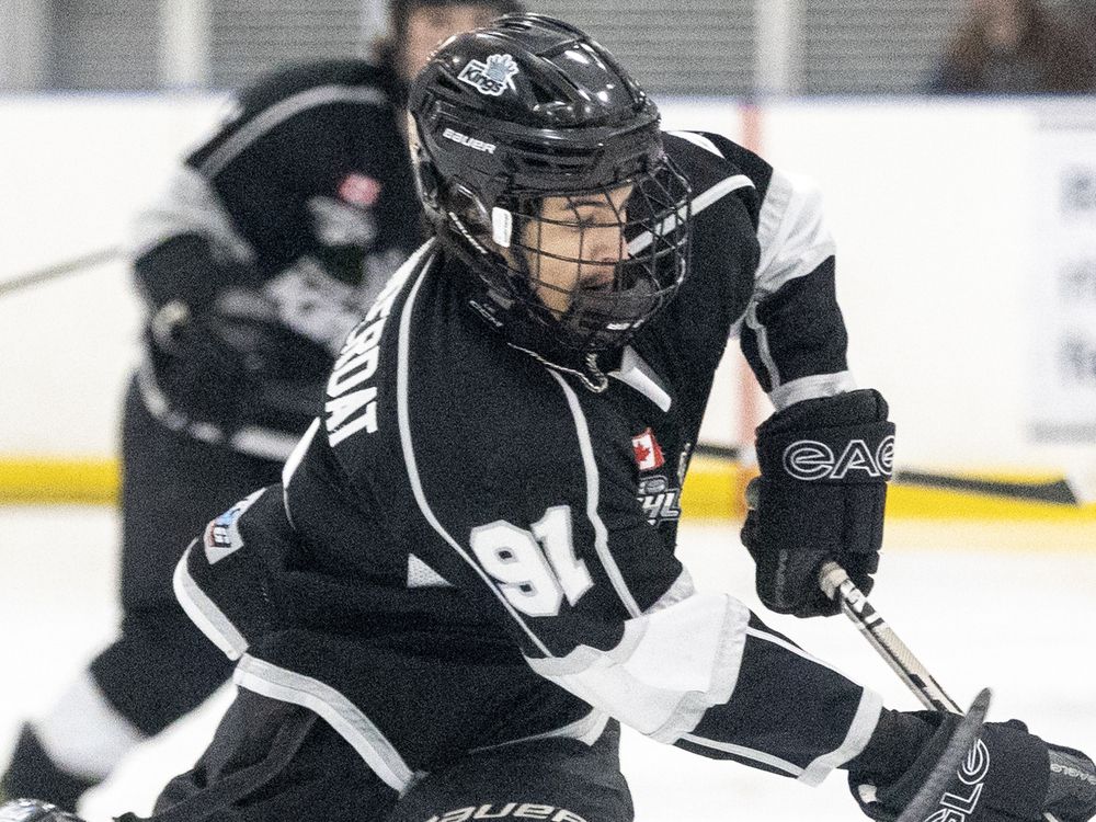 Junior B hockey player gets 20-game suspension for 'shocking' incident ...